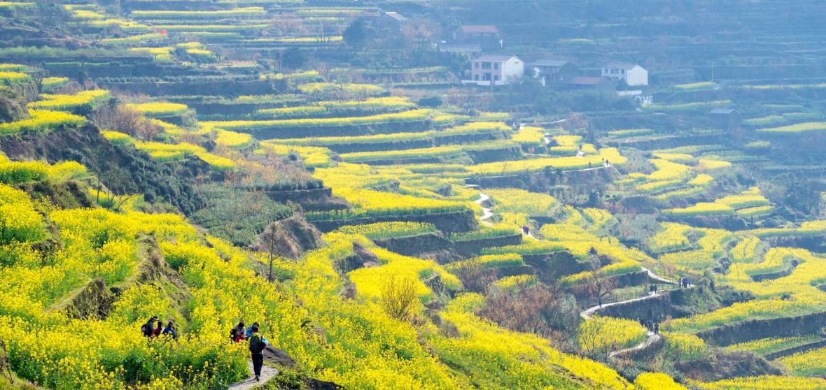 Things to Do in Shangyu District in 2025 - Top Attractions, Local Food ...