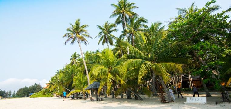 Dongjiao Coconut Forest Scenic Aera Travel Guide 2025: Top Attractions ...