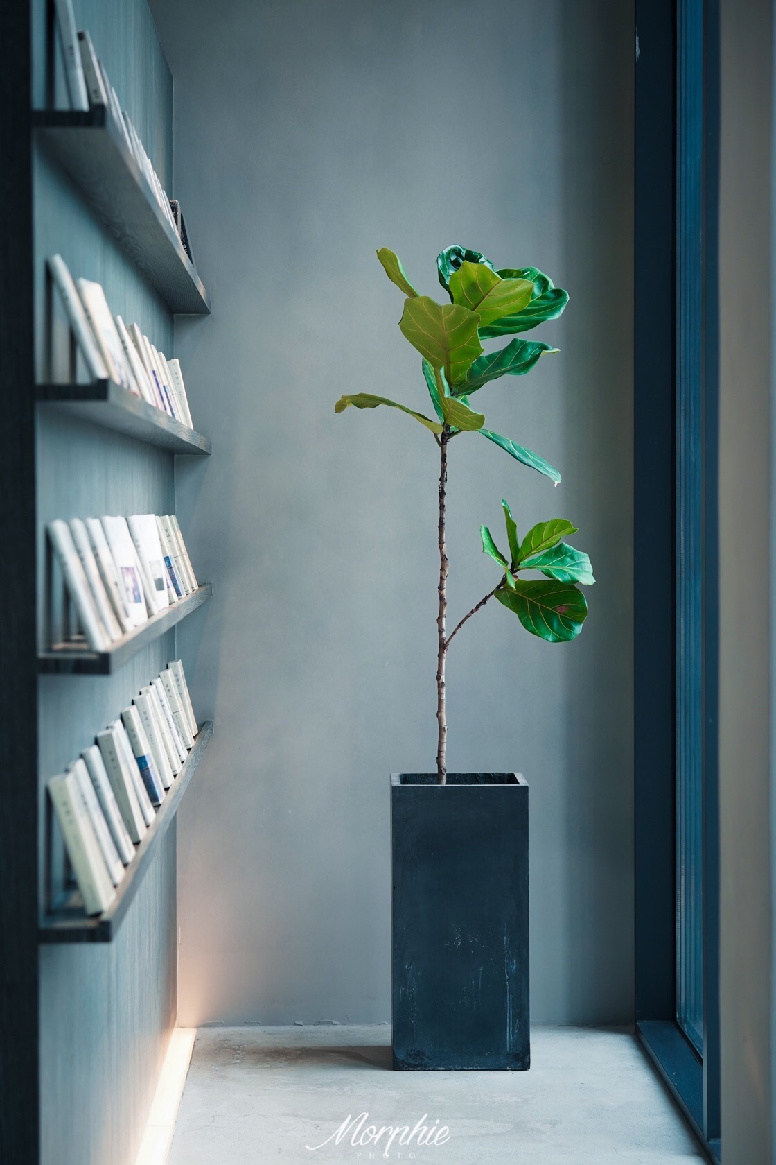 Beidaihe Travel Guide 2023 - Things to Do, What To Eat & Tips | Trip.com