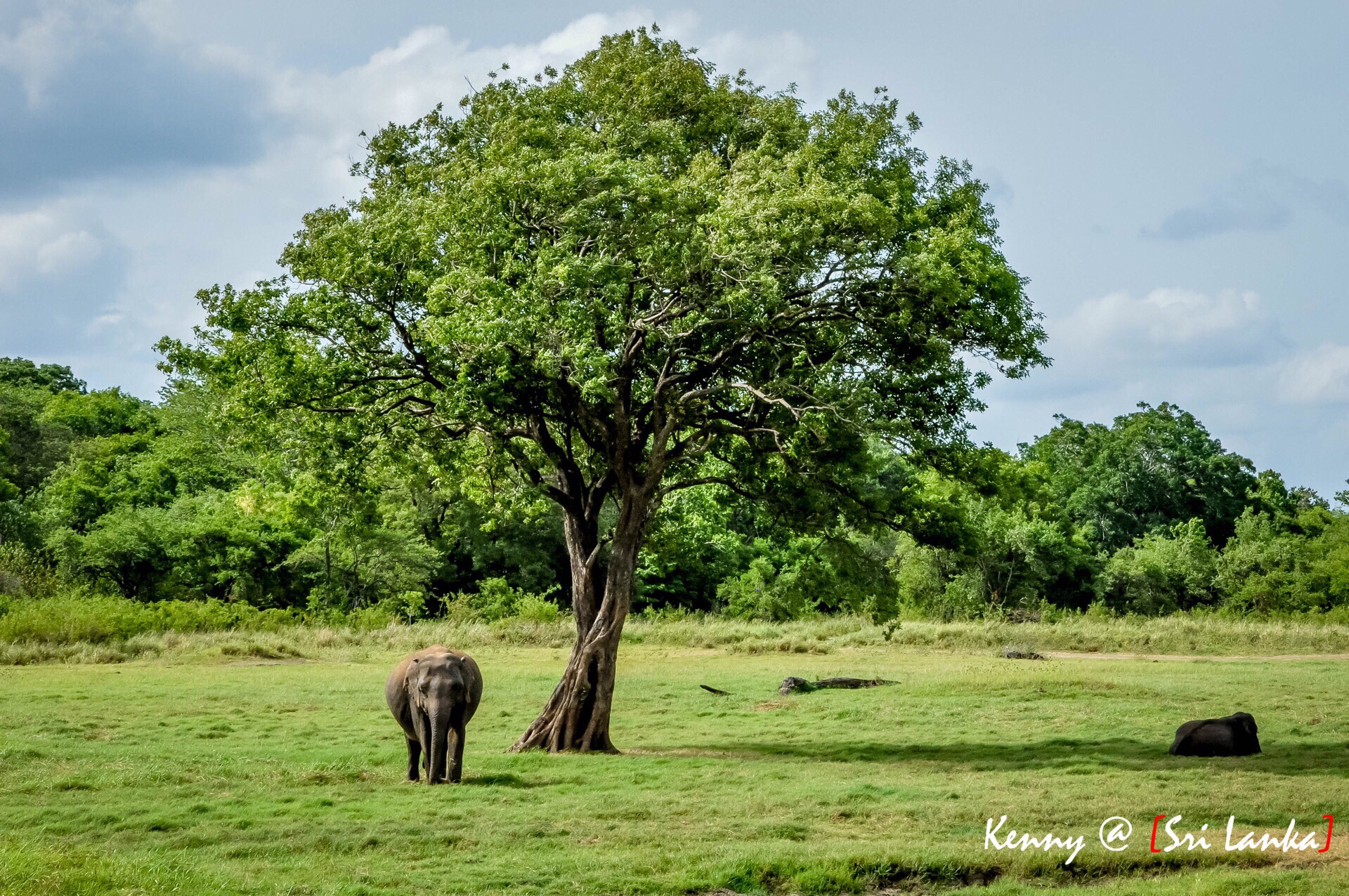 Habarana 2023 Top Things to Do - Habarana Travel Guides - Top ...