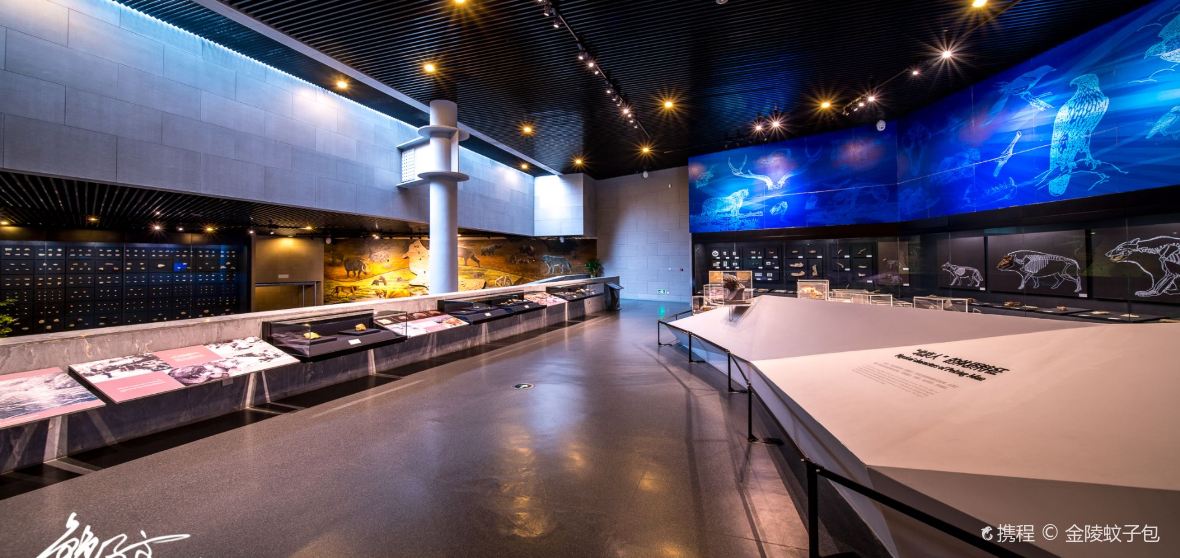 Things to do in Fangshan District (2025): Top nearby activities,popular ...