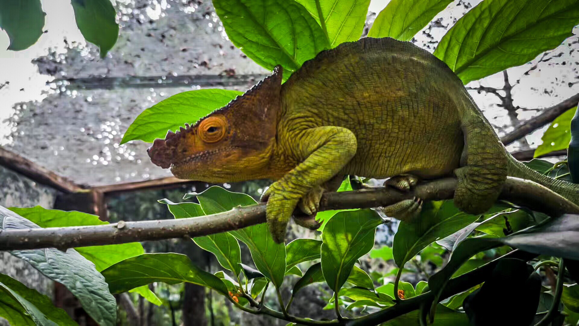 【2023馬達加斯加自由行】馬達加斯加旅遊攻略：熱門推薦馬達加斯加景點門票、飯店與必吃美食 - Trip.com