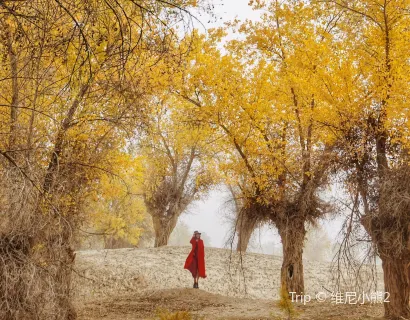 Hu Yanglin Nature Park Opening hours, specific address, ticket ...