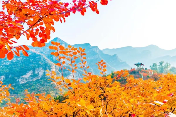 | Trip.com Fangshan District Travelogues