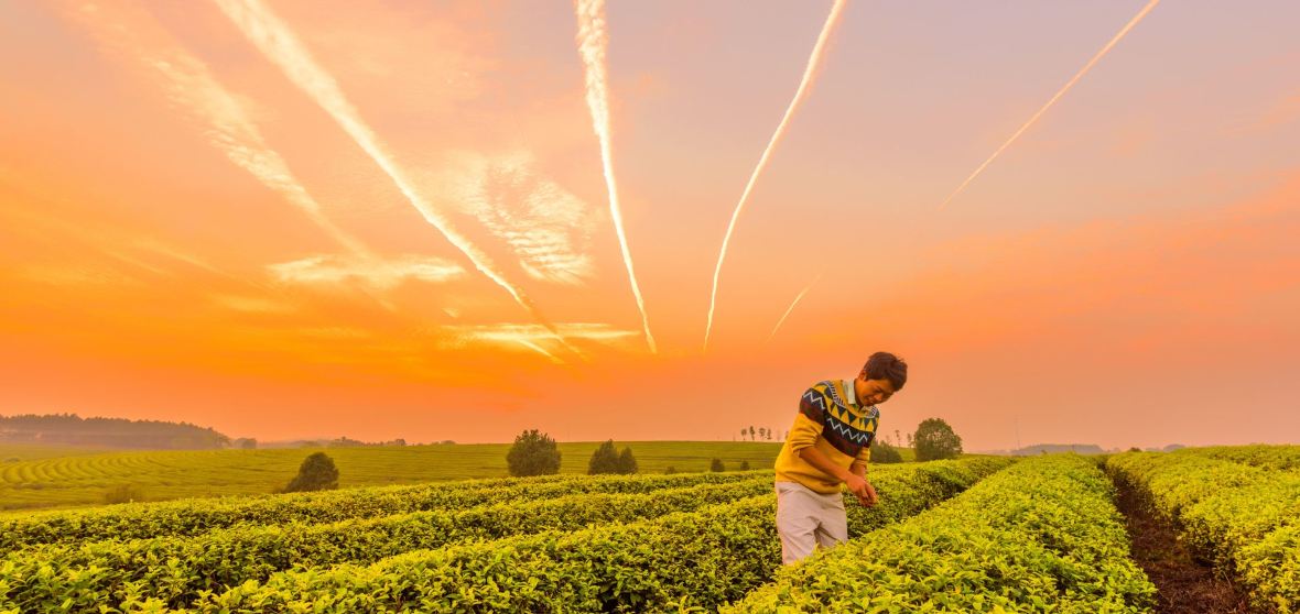 Nanchang County independent travel guide (2025): top things to do near ...