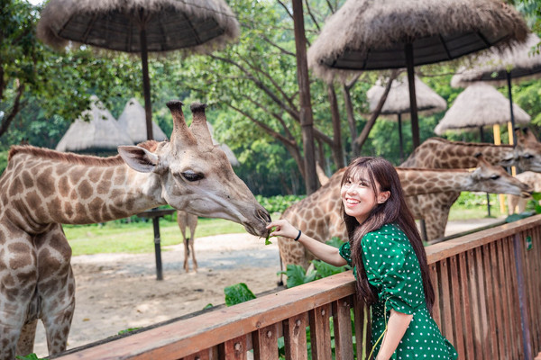 Changlong Wildlife Park, here | Trip.com Guangzhou