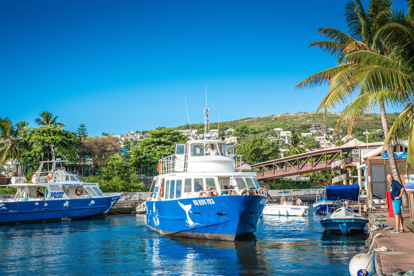 Reunion Travel Guide 2023 - Things to Do, What To Eat & Tips | Trip.com