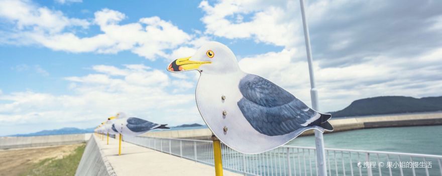 Things to do in Ogijima (2025): Top nearby activities,popular ...