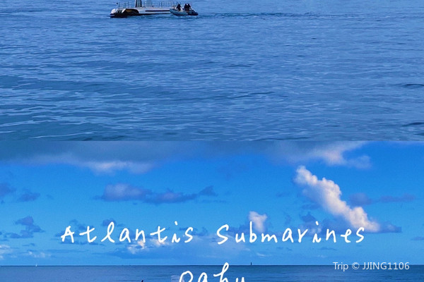 Atlantis Sea World in Hawaii w | Trip.com Honolulu