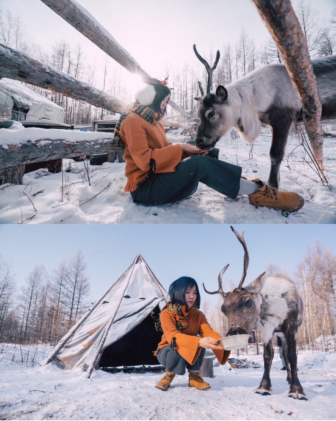 Genhe Travel Guide 2023 - Things to Do, What To Eat & Tips | Trip.com