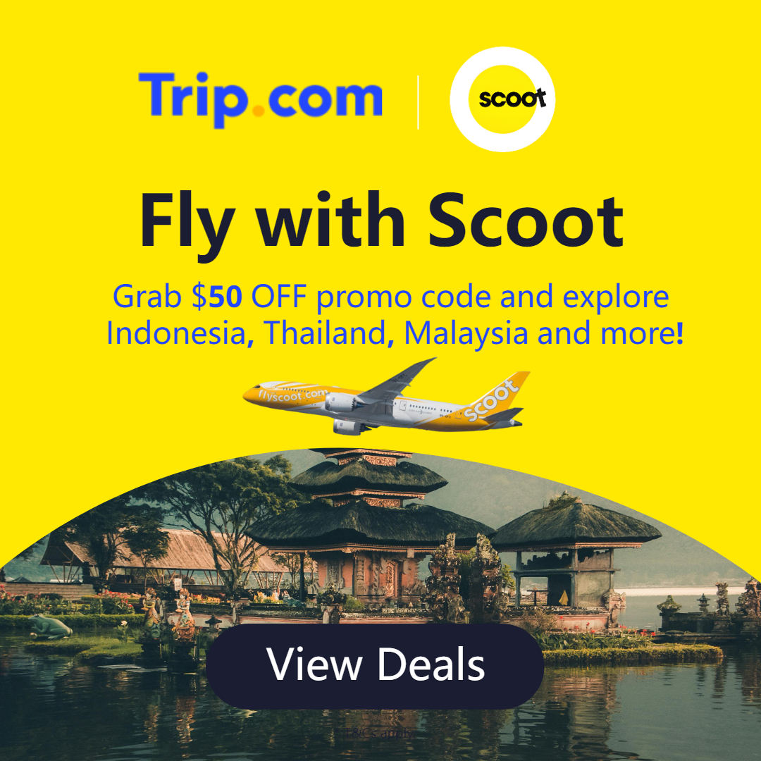 Fly with Scoot