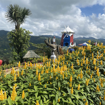 Flower Garden Cebu City | Best Flower Site