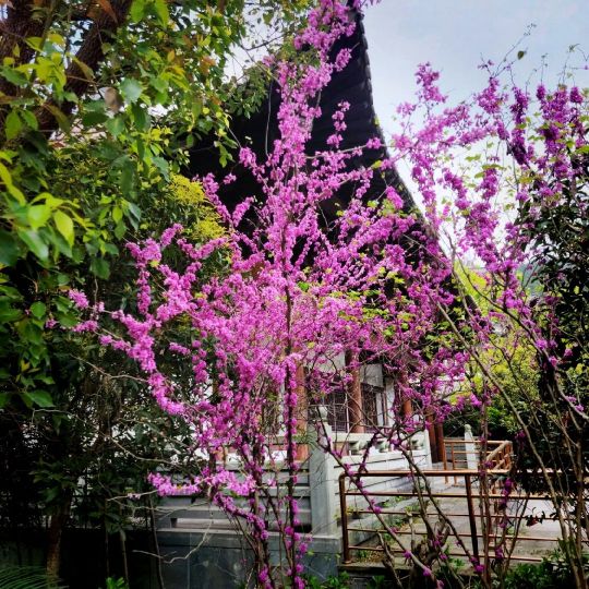 Lishui Travel Guide 2024 - Things to Do, What To Eat & Tips | Trip.com