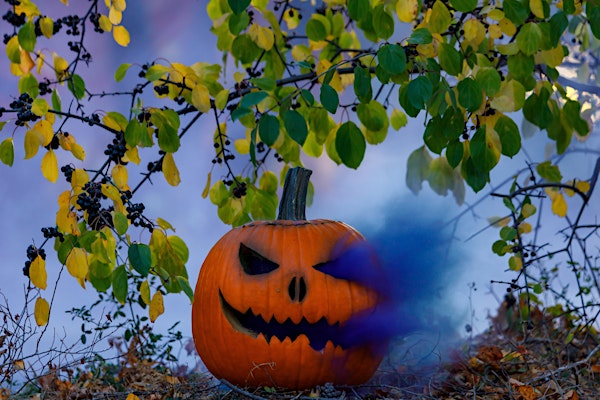 Pumpkin Smoke Bomb Photo Session | Art's Cameras Plus: Tickets, Dates ...