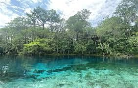 Full Day Private Guided Canoe Tour of the Silver River | Silver Springs ...