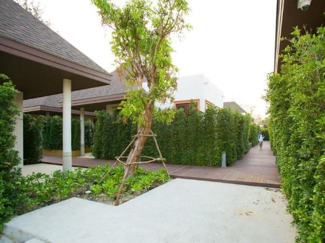 Triple Tree Beach Resort | Trip.com ไทย บล็อกท่องเที่ยว