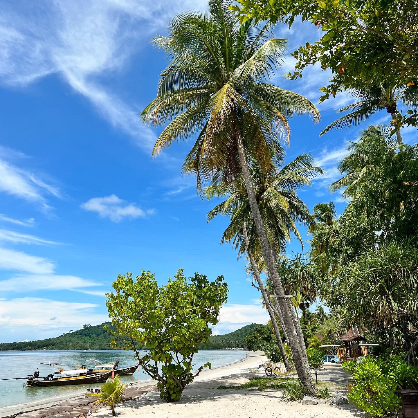 Koh Mook 2024 Top Things to Do - Koh Mook Travel Guides - Top ...