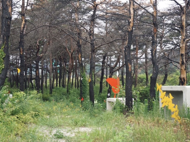 아름다운 조각 작품을 만날 수 있는 속초 미술관 | 트립닷컴 속초