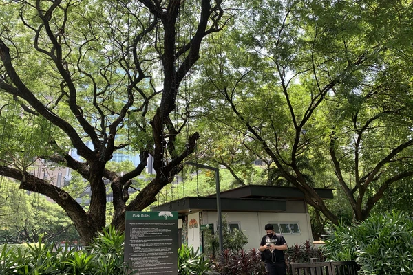 Nature Park in the Center of Makati | Trip.com Makati Travelogues