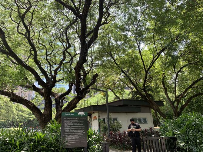 Nature Park in the Center of Makati | Trip.com Airlie Beach Travelogues