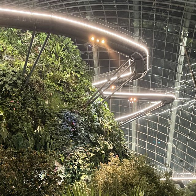 Misting timing at Cloud Forest | Trip.com Singapore