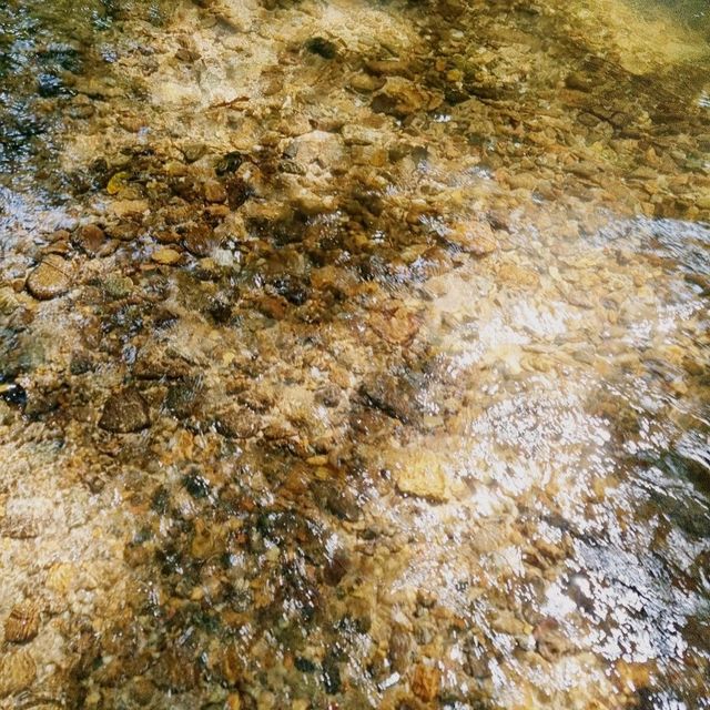 FASCINATING AND STUNNING KEMENSAH TRAIL ️ | Trip.com Kuala Lumpur