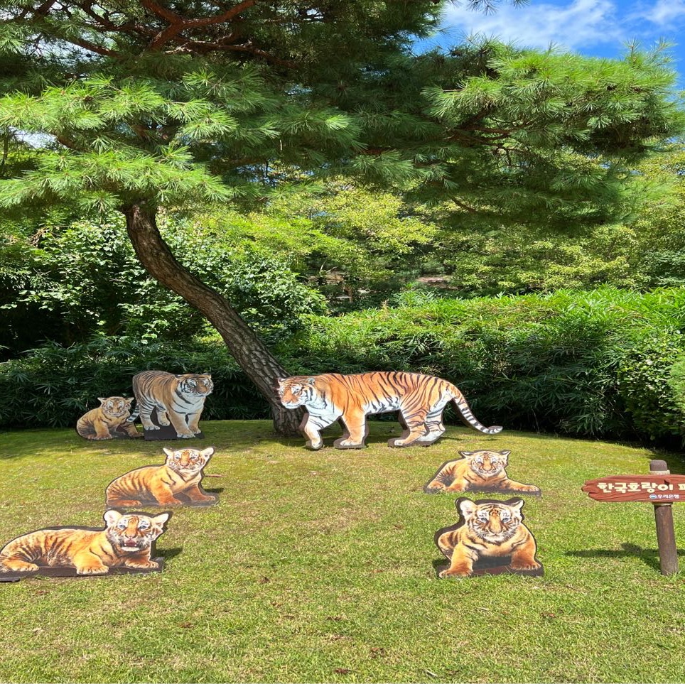Tiger Habitat Diorama