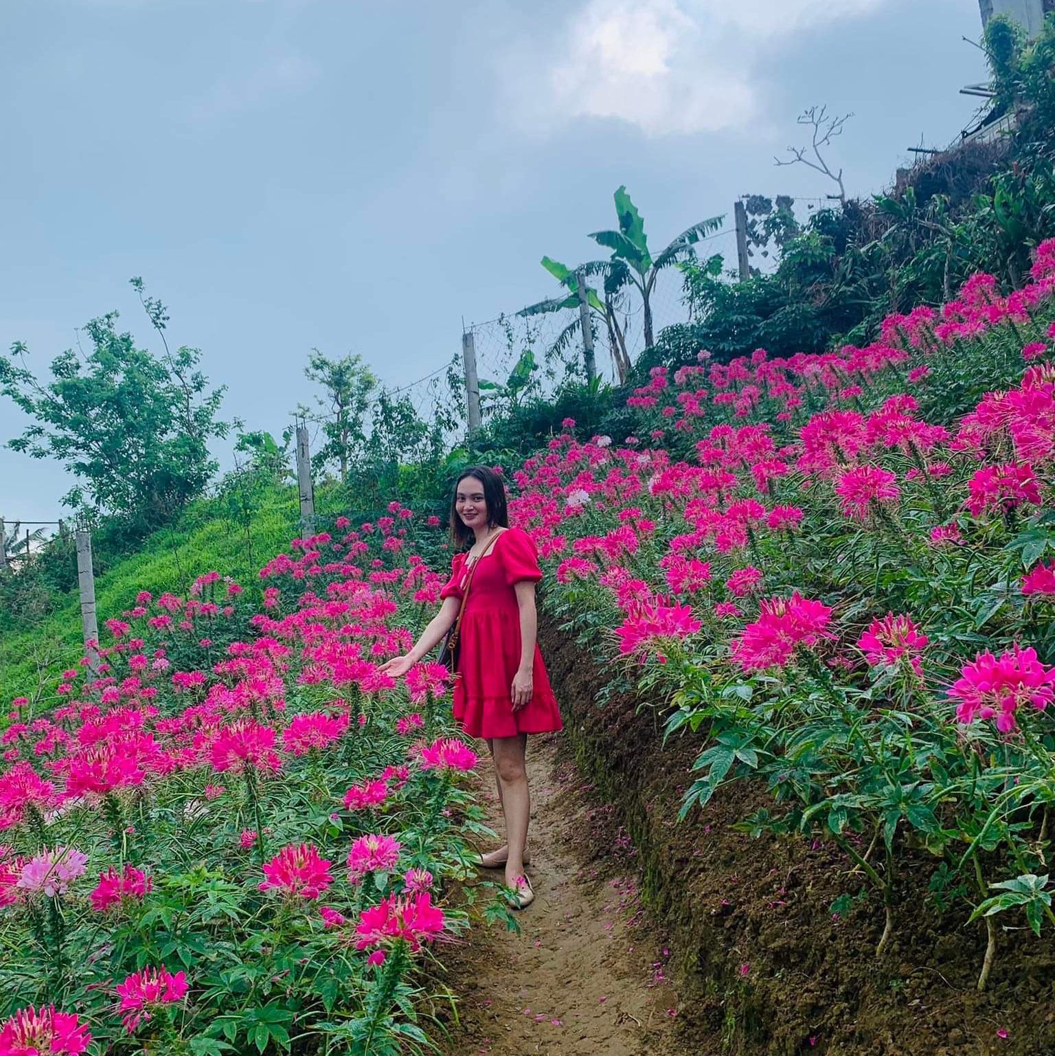 Flower Farm Cebu City | Best Flower Site