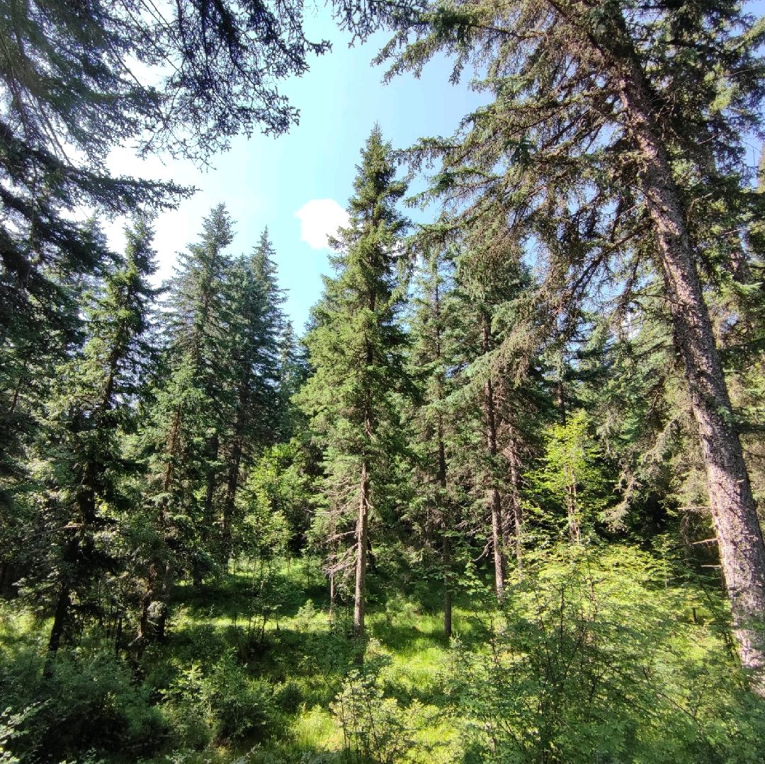 Gannan Travel Guide 2024 - Things to Do, What To Eat & Tips | Trip.com