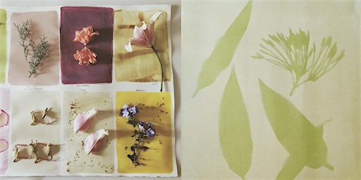 วันที่และแผนการเดินทางไป Anthotypes with the Solstice Sun | Duke Farms ...