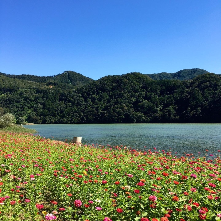 Chuncheon-si 2023 Top Things to Do - Chuncheon-si Travel Guides - Top ...