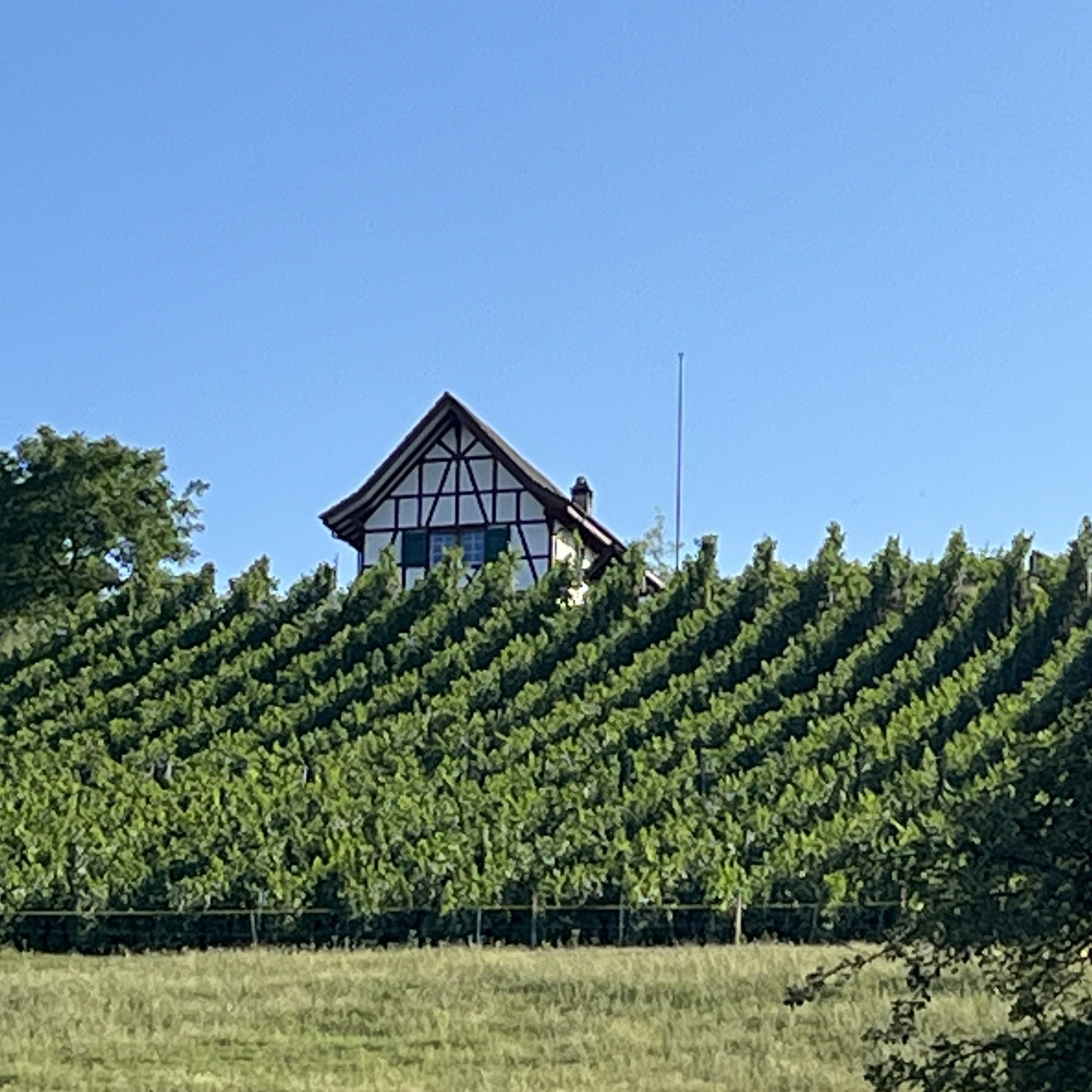 Regensdorf Travel Guide 2024 - Things to Do, What To Eat & Tips | Trip.com