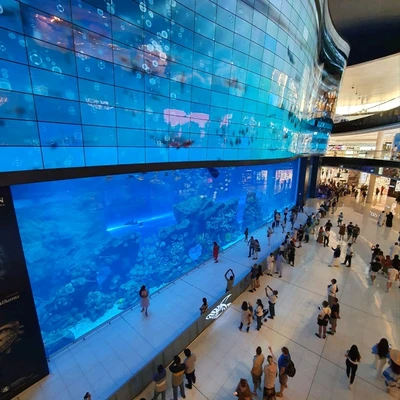Dubai Mall Inside View