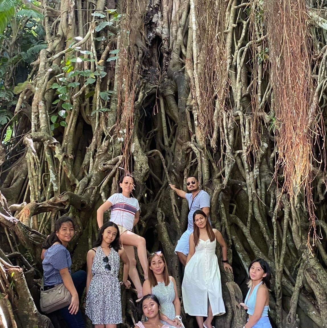 Balete Baler
