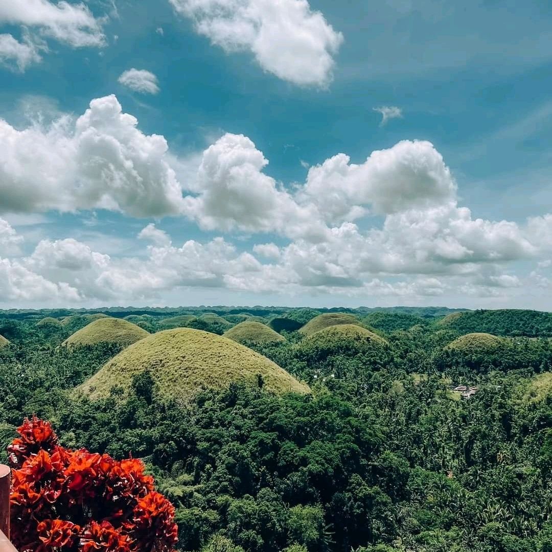 Things to Do in Bohol Island in 2024 - Top Attractions, Local Food ...