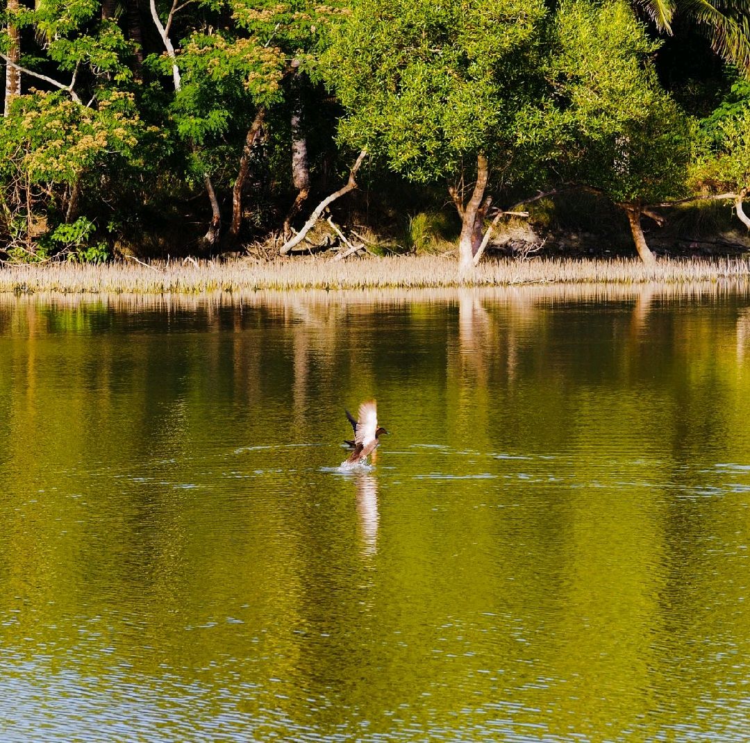 Things to Do in Ragay in 2025 - Top Attractions, Local Food, Hotels ...