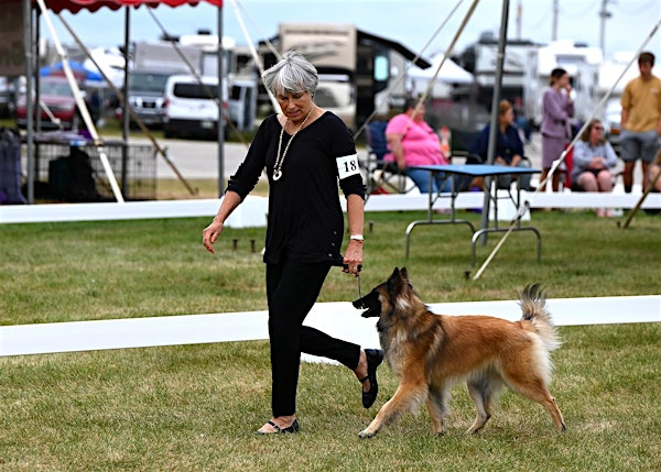2025 WKC Summer Splash Daily Admission | Waukesha County Expo Center ...