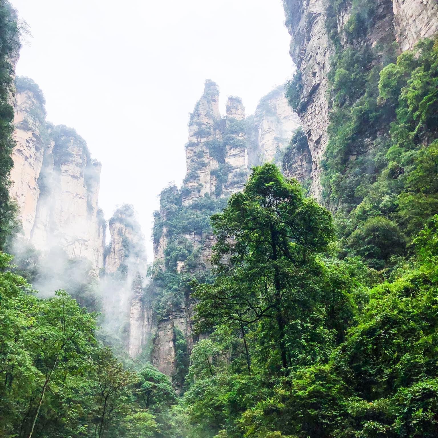 Things to Do in Wulingyuan District in 2024 - Top Attractions, Local ...