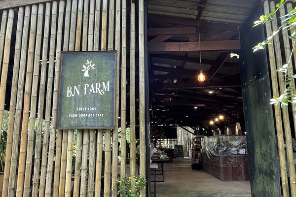 BN Farm ไร่บีเอ็น พืชผักผลไม้ ของท้องถิ่น | Trip.com