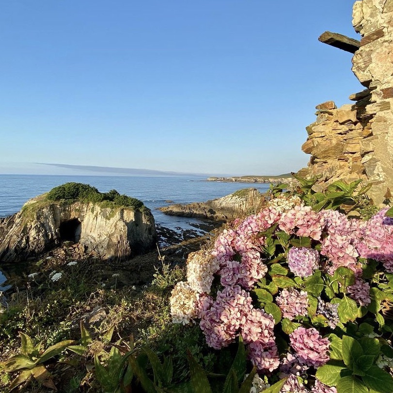 Navia 2022 Top Things to Do - Navia Travel Guides - Top Recommended ...