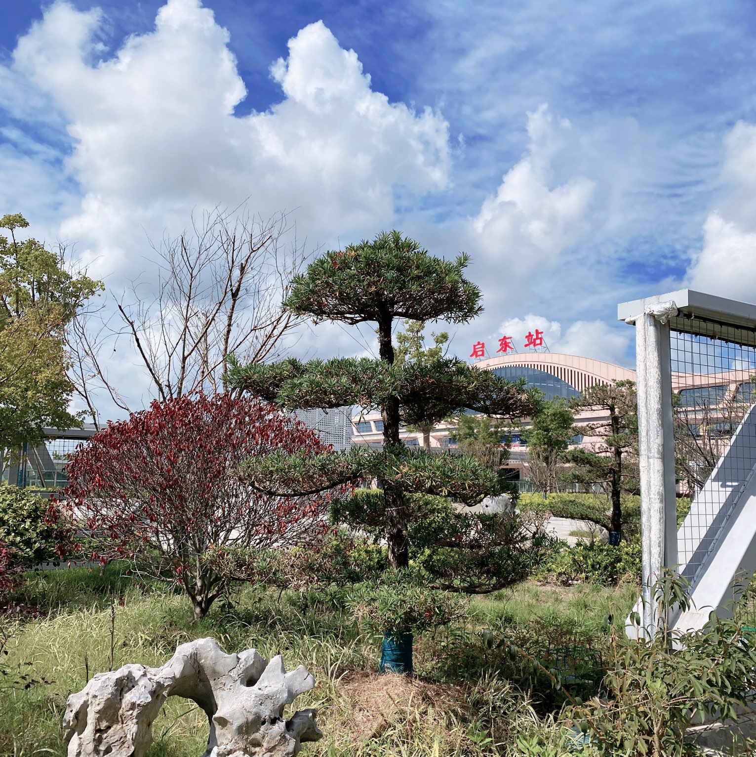 Qidong Travel Guide 2023 - Things to Do, What To Eat & Tips | Trip.com