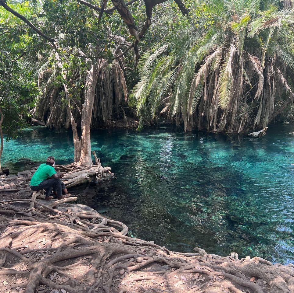 Arusha Travel Guide 2024 - Things to Do, What To Eat & Tips | Trip.com