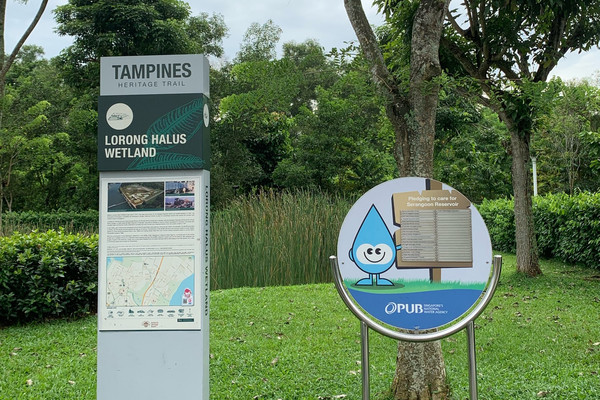 Lorong Halus wetland park | Trip.com Singapore