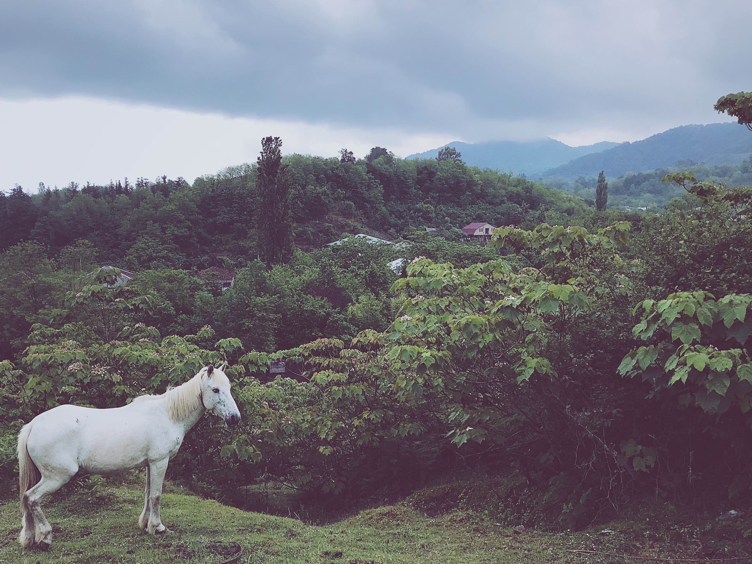 Chokhatauri Travel Guide 2023 - Things to Do, What To Eat & Tips | Trip.com