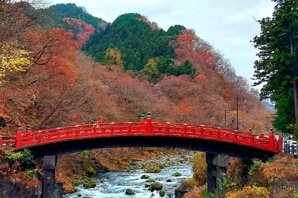 Autumn Leaves in Nikko | Trip.com Nikko Travelogues
