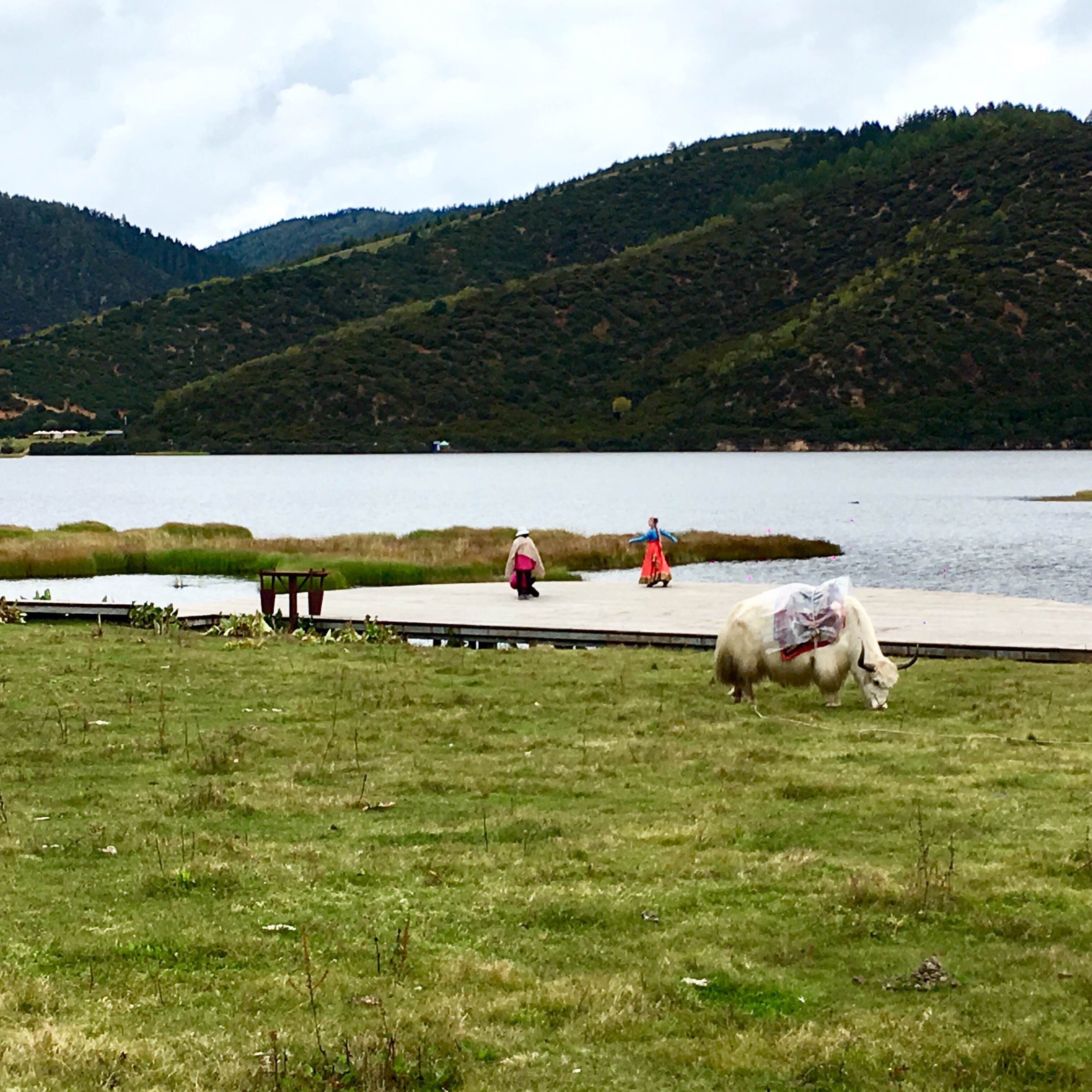 Diqing 2022 Top Things to Do - Diqing Travel Guides - Top Recommended ...