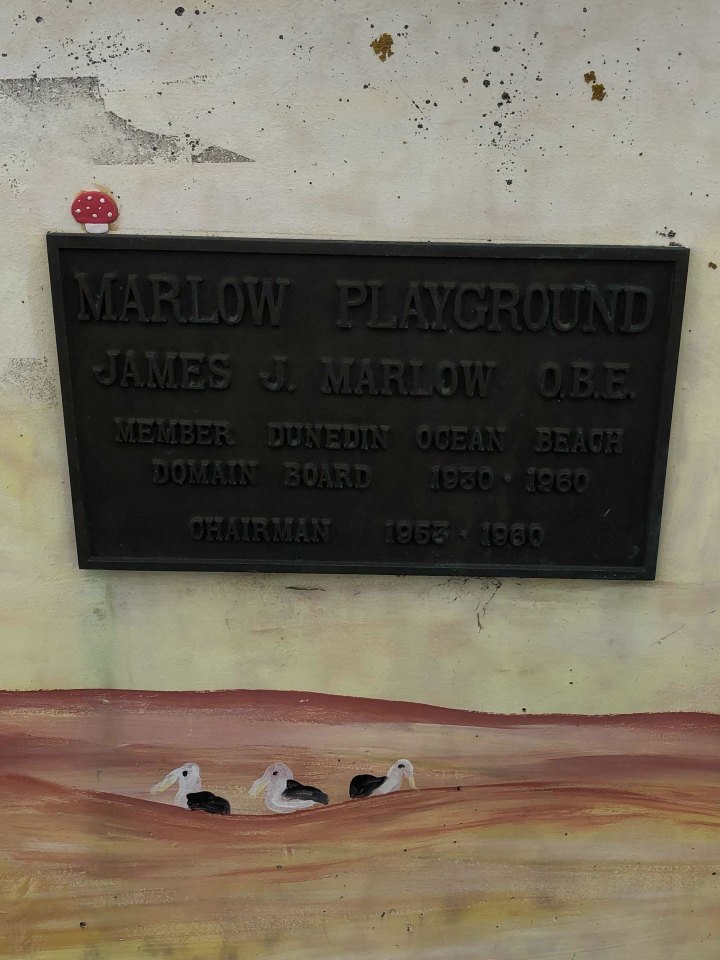 Dunedin Travel Guide 2024 - Things to Do, What To Eat & Tips | Trip.com