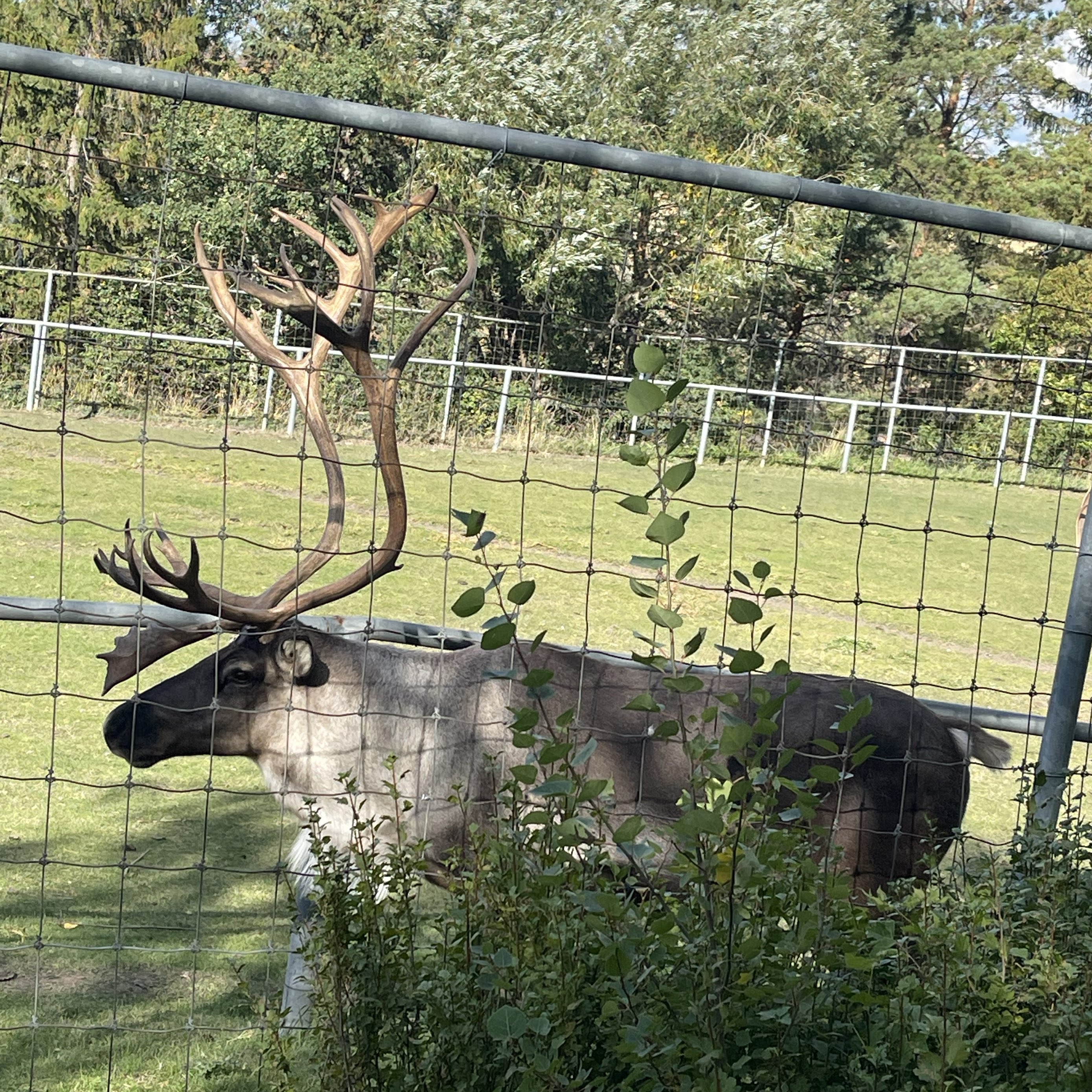 Saskatchewan 2022 Top Things to Do - Saskatchewan Travel Guides - Top ...