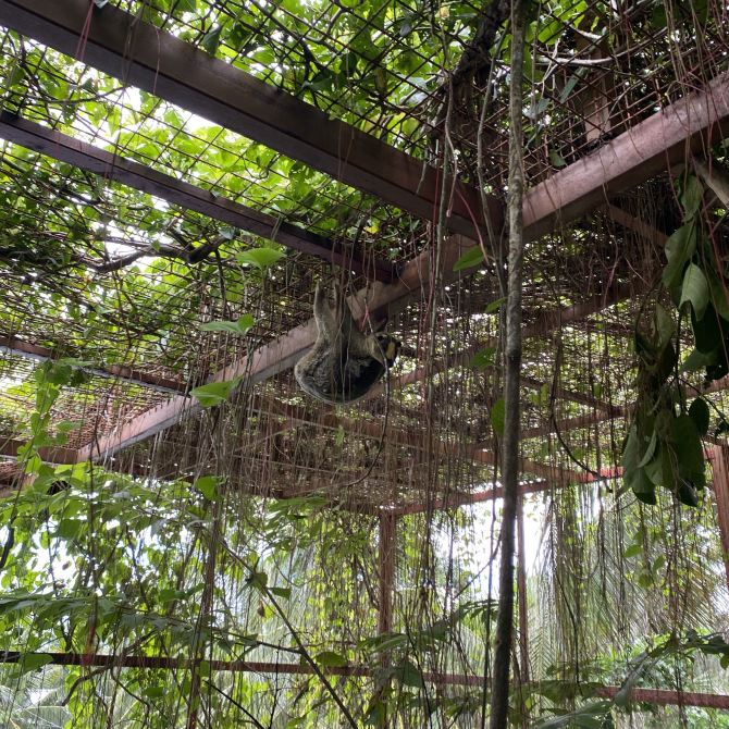 Butterfly and python sanctuary- a mini zoo | Trip.com Bohol Island