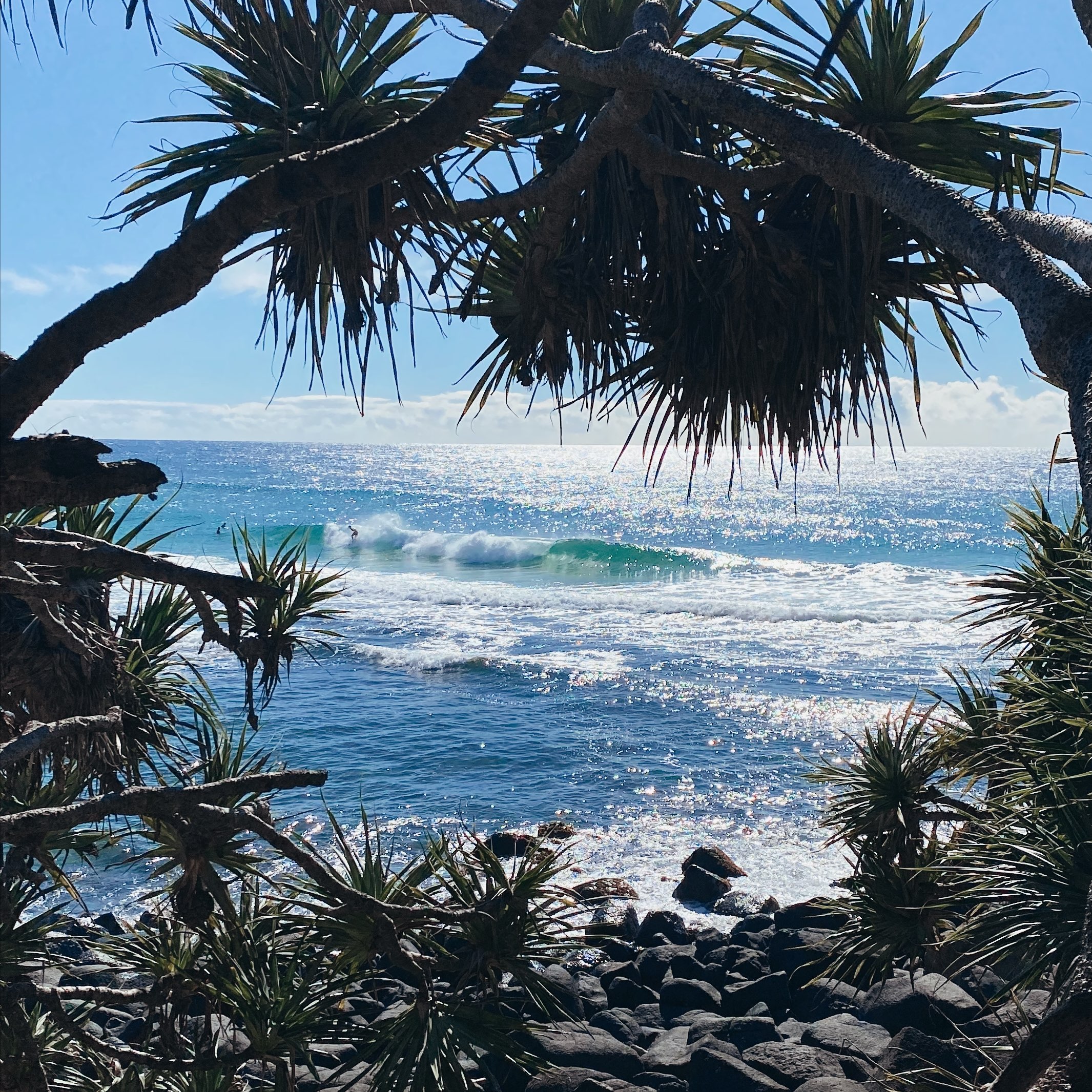 Burleigh Heads Travel Guide 2024 - Things to Do, What To Eat & Tips ...